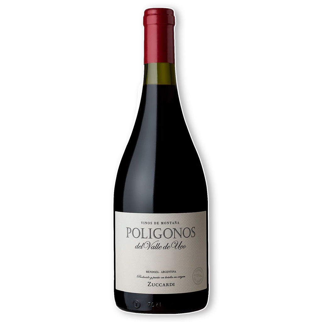 Poligonos Altamira Botella Magnum 1,5l | QuelhueWine